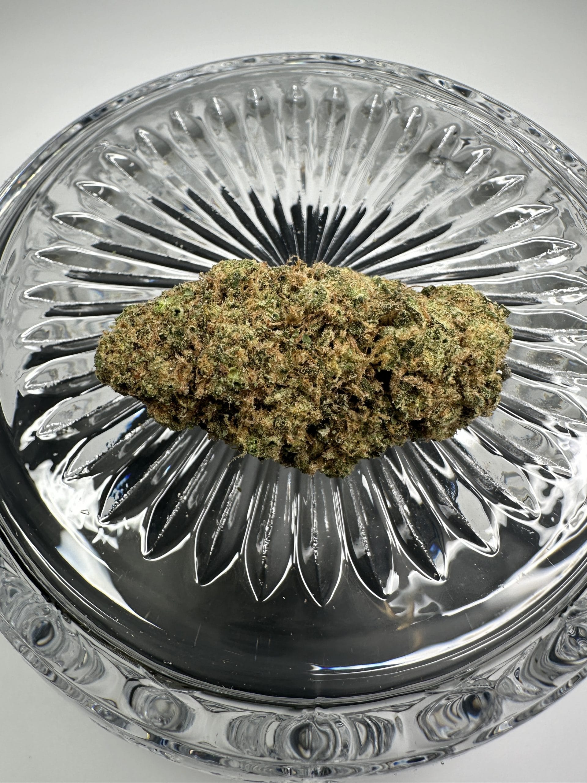 Citral Glue - Sativa - Premium Flower - The BudCo